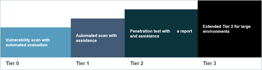 Penetration testing, vulnerability assessment and hardening
