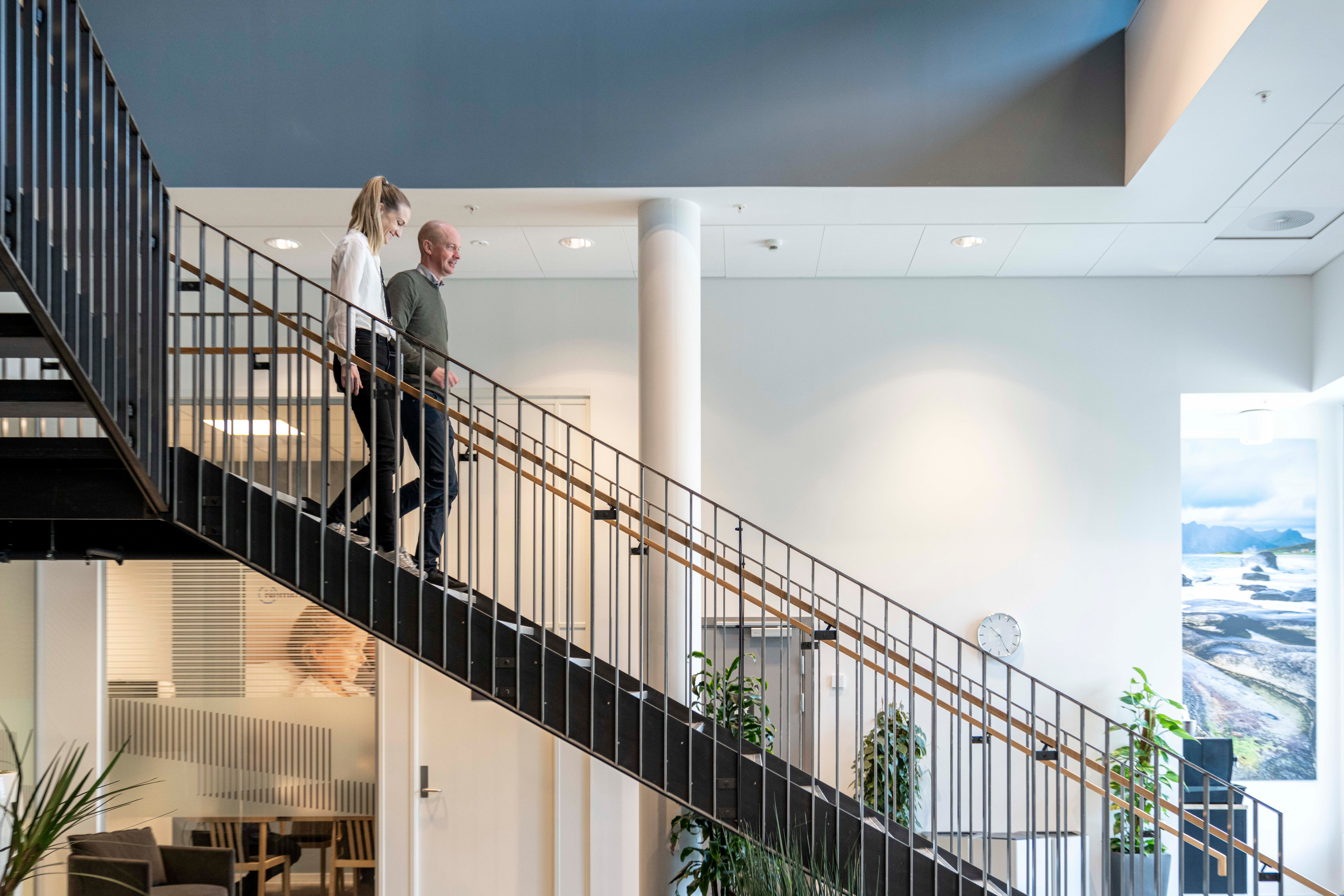 Careers with Nemko | Latest Job Openings