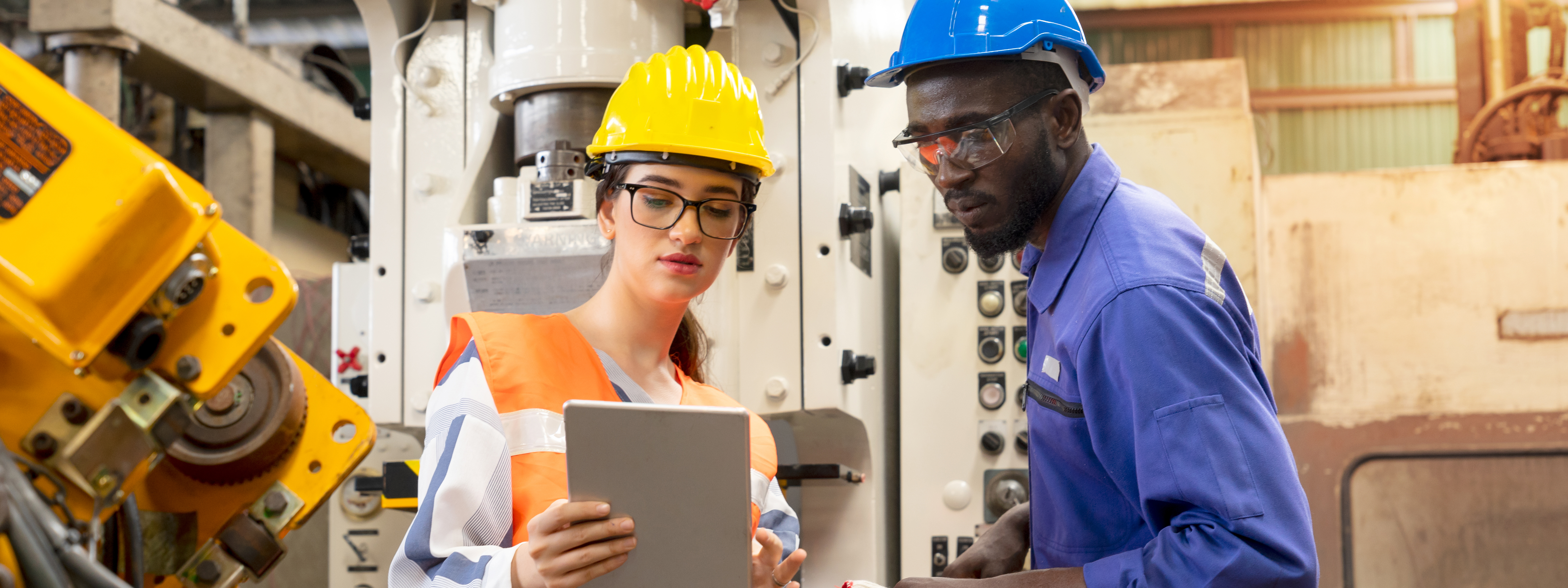 What to Expect During a Field Evaluation Service